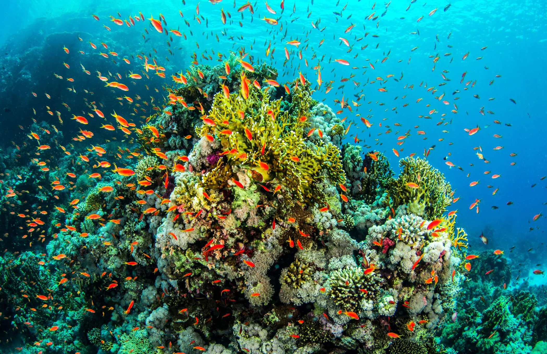 IPBES: Economic and financial systems must evolve to protect ...